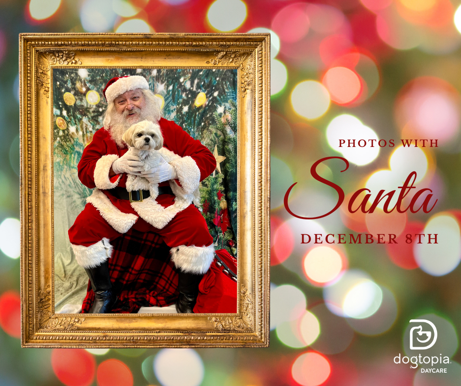 Photos with Santa - South Chandler