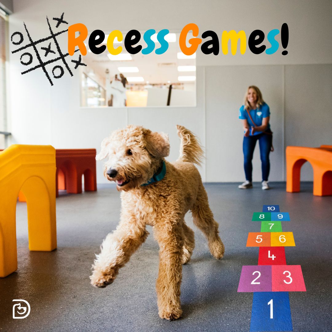 Recess Games! - Eau Claire