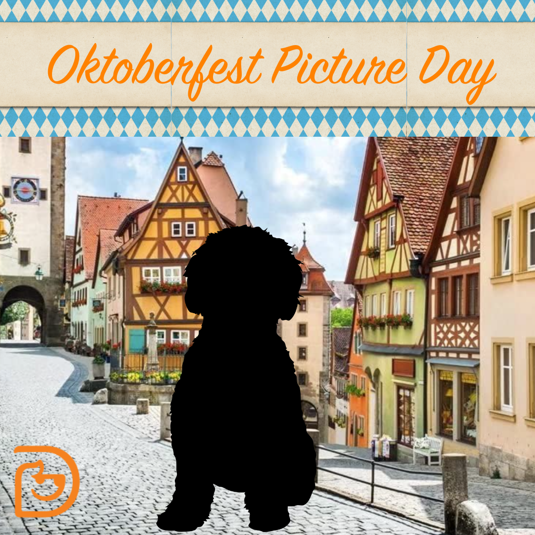 Toybox Oktoberfest Picture Day! - Eau Claire