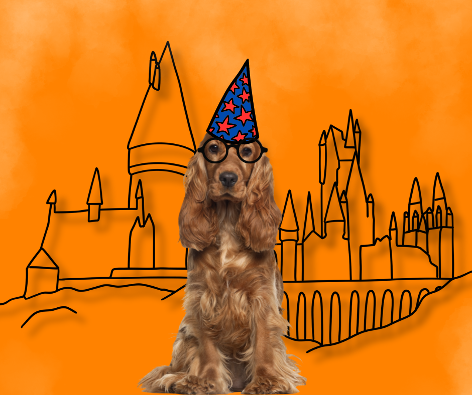 HAPPY BIRTHDAY GOTCHA DAY! - Eau Claire