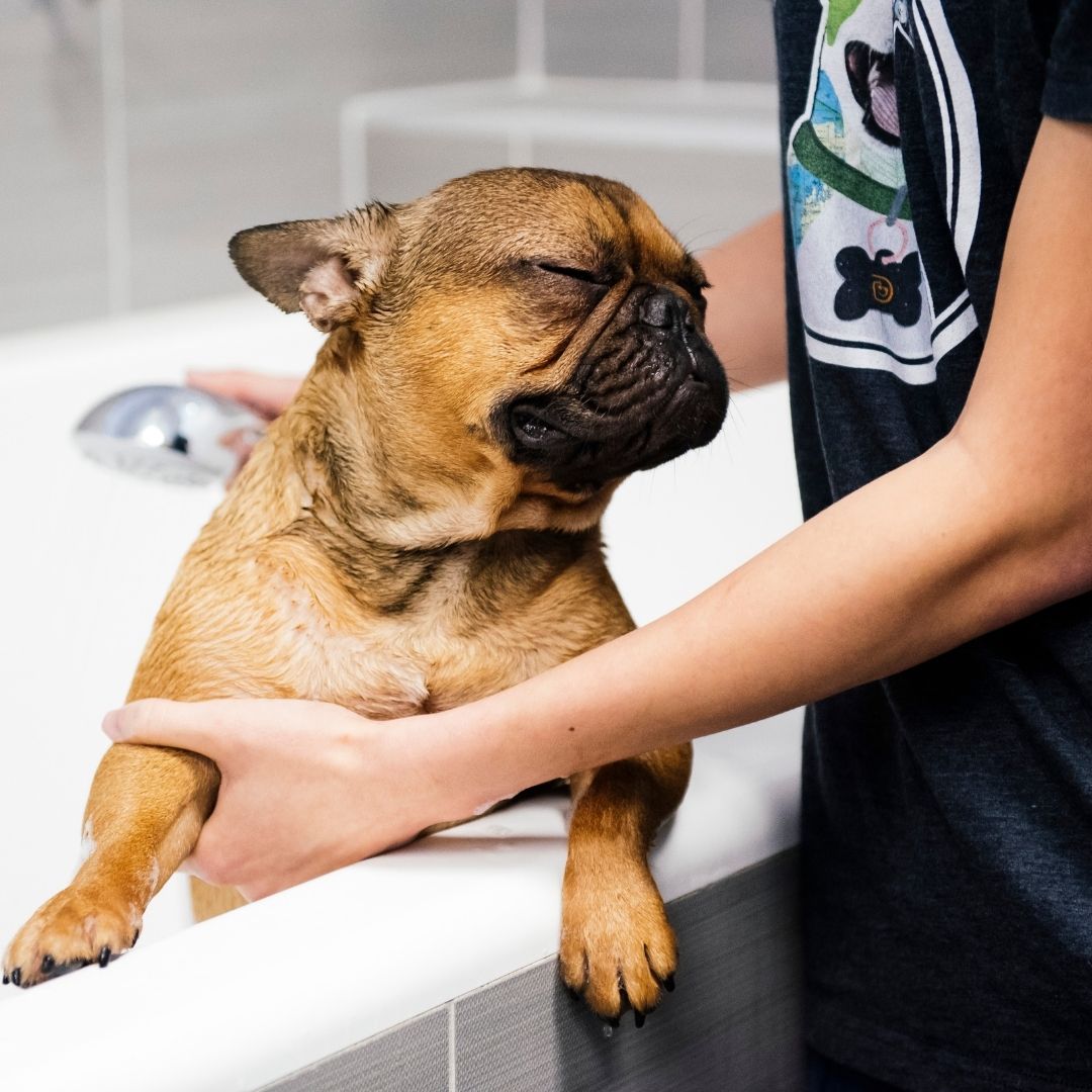 Spring Break: Spa Day! - Eau Claire