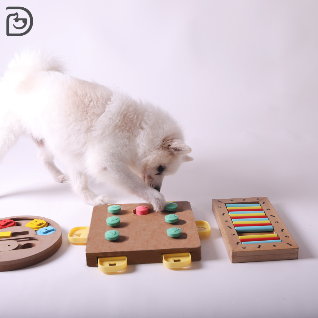 Golden Turkey Game Night - Eau Claire