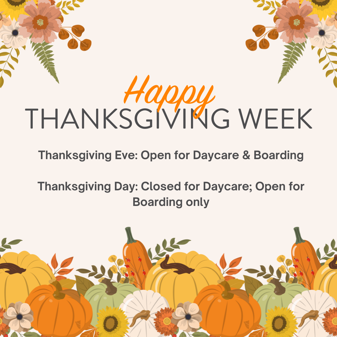 Thanksgiving Week Updates! - Holladay