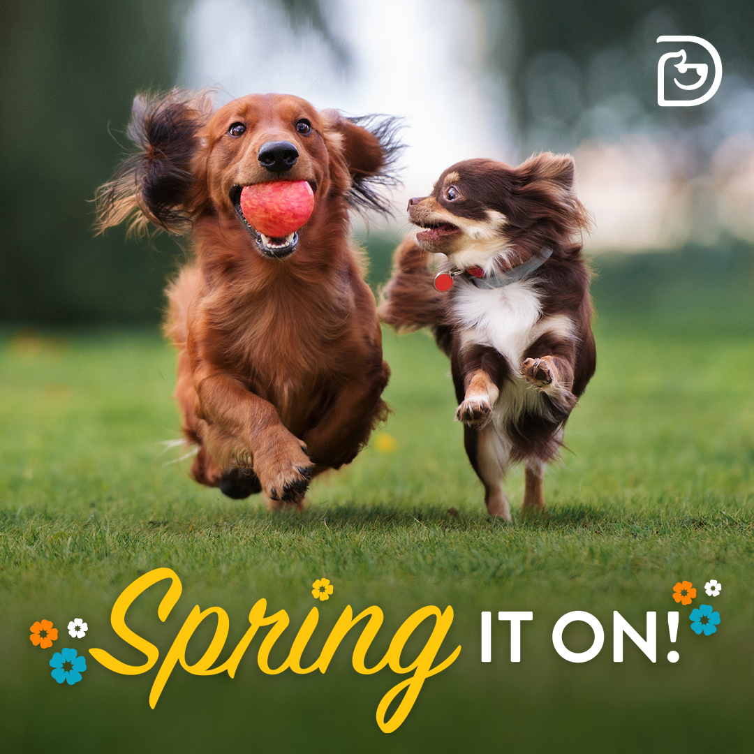 Spring Photo Booth Day! - Meridian North