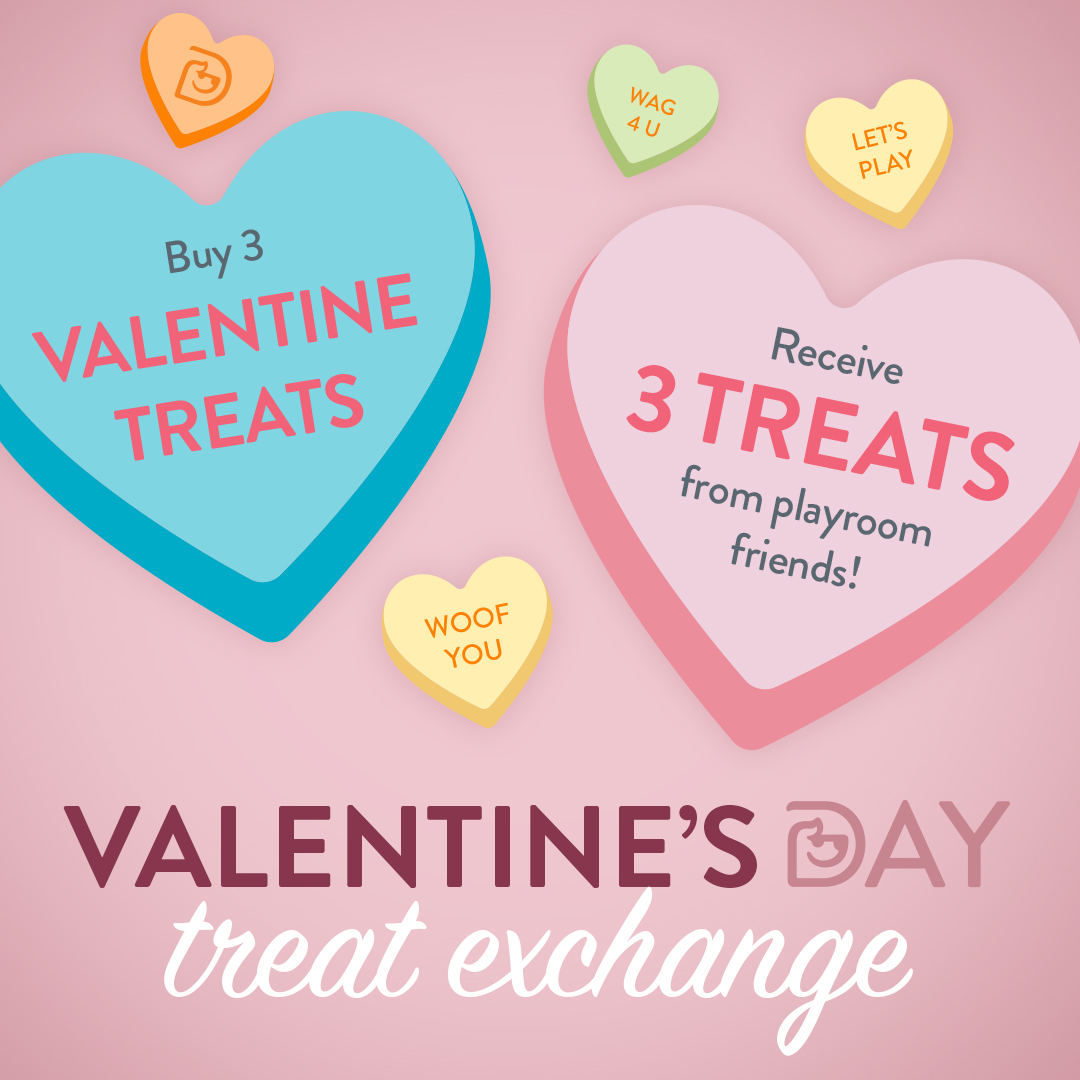 BFFF Treat Exchange - Foundation Event - Meridian North