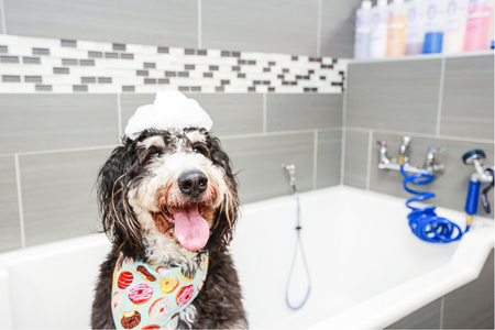 National Bubble Bath Day - Meridian North