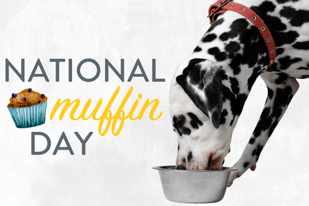 National Muffin Day - Meridian North