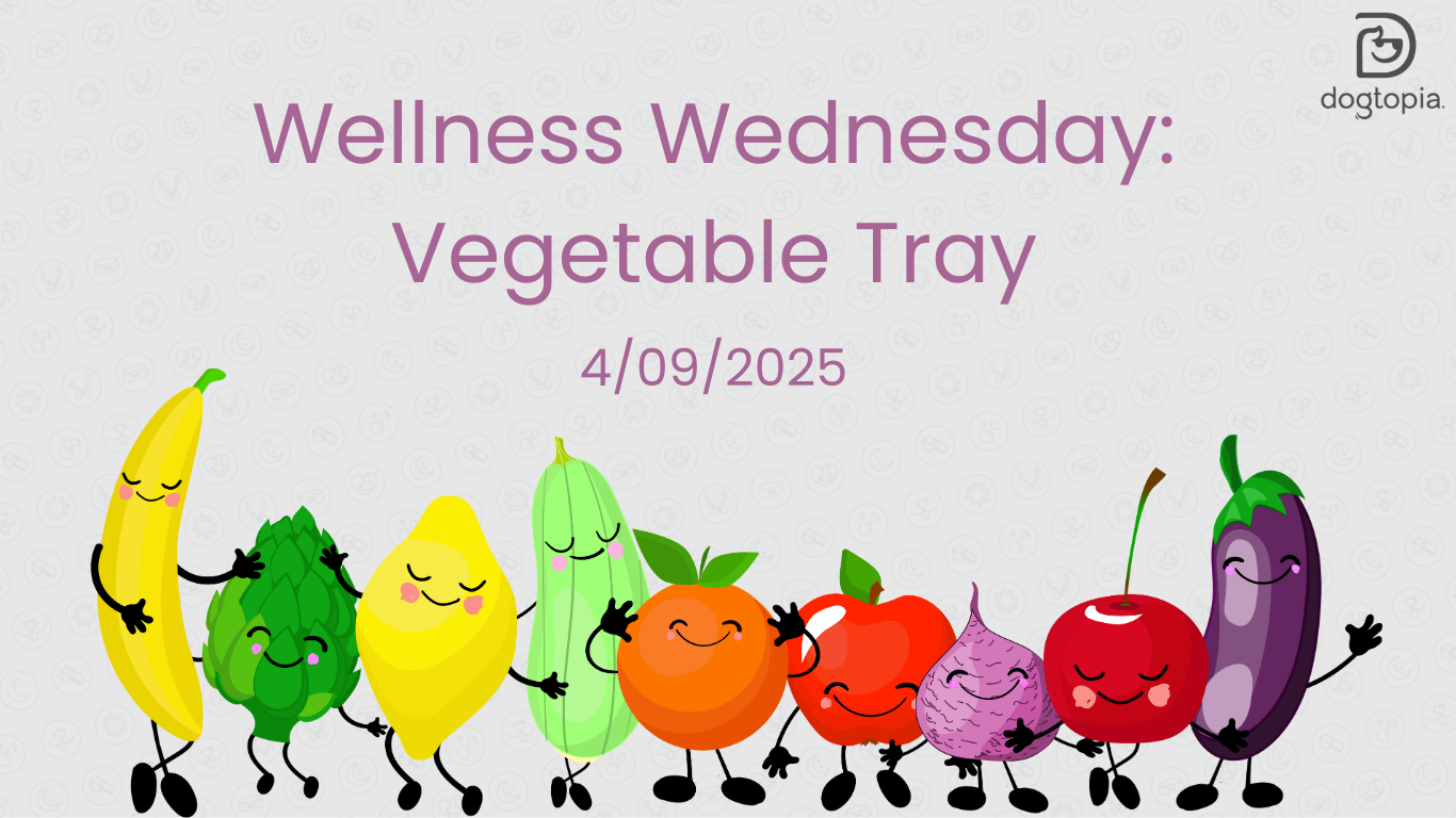 Wellness Wednesday: Veggie Tray - Columbus-Downtown