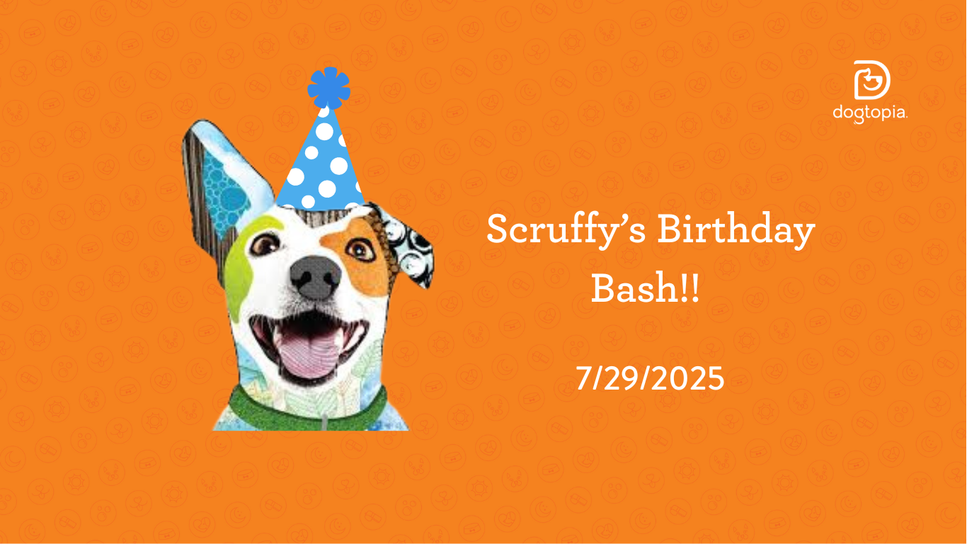 Scruffy's Birthday Bash! - Columbus-Downtown