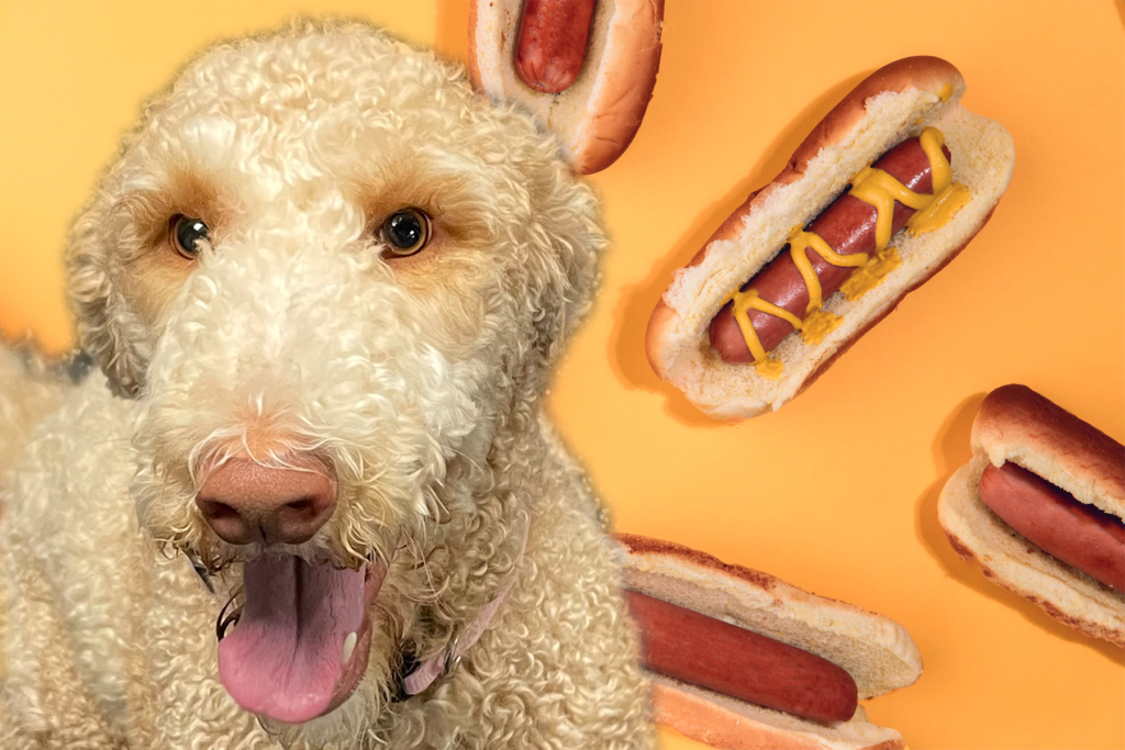 National Hot Dog Day - Harbor Steps