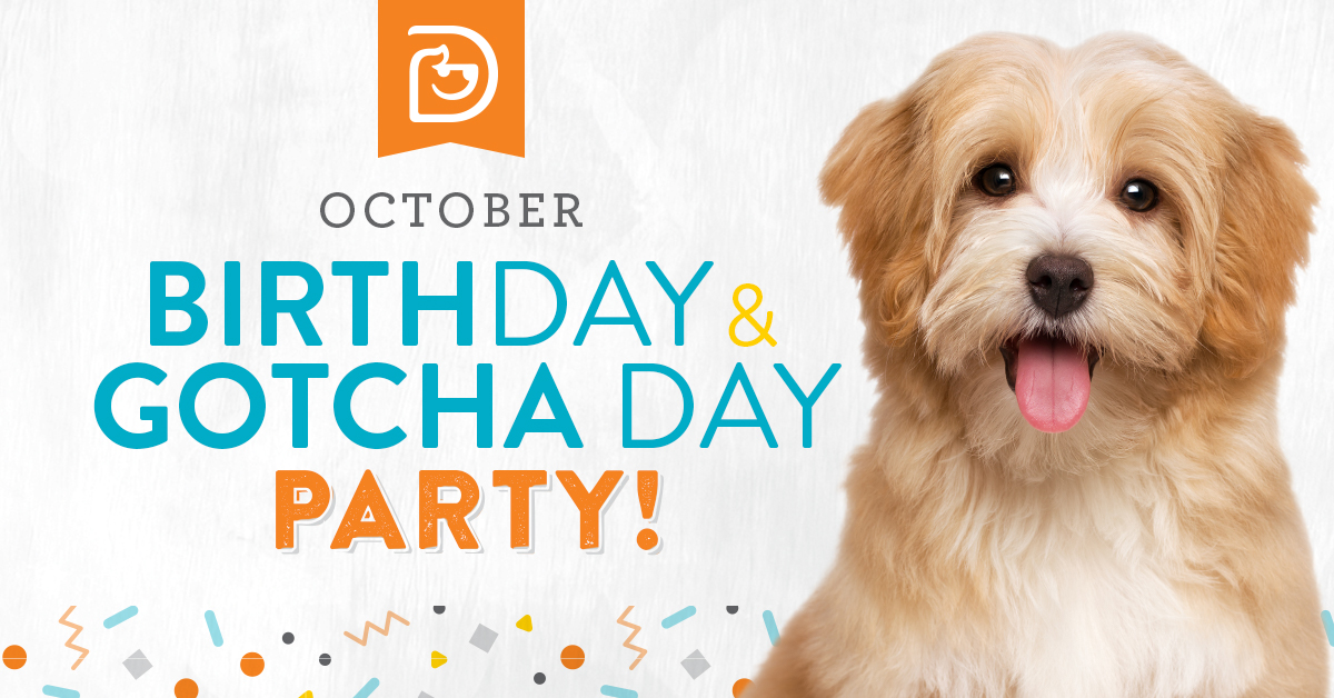 October Birthday/Gotcha Day Celebration - Harbor Steps