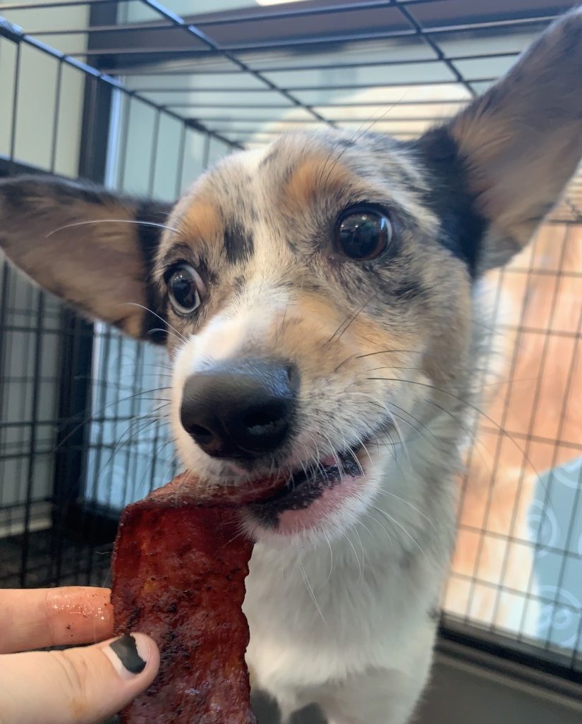 Bacon Friday! - Cypress