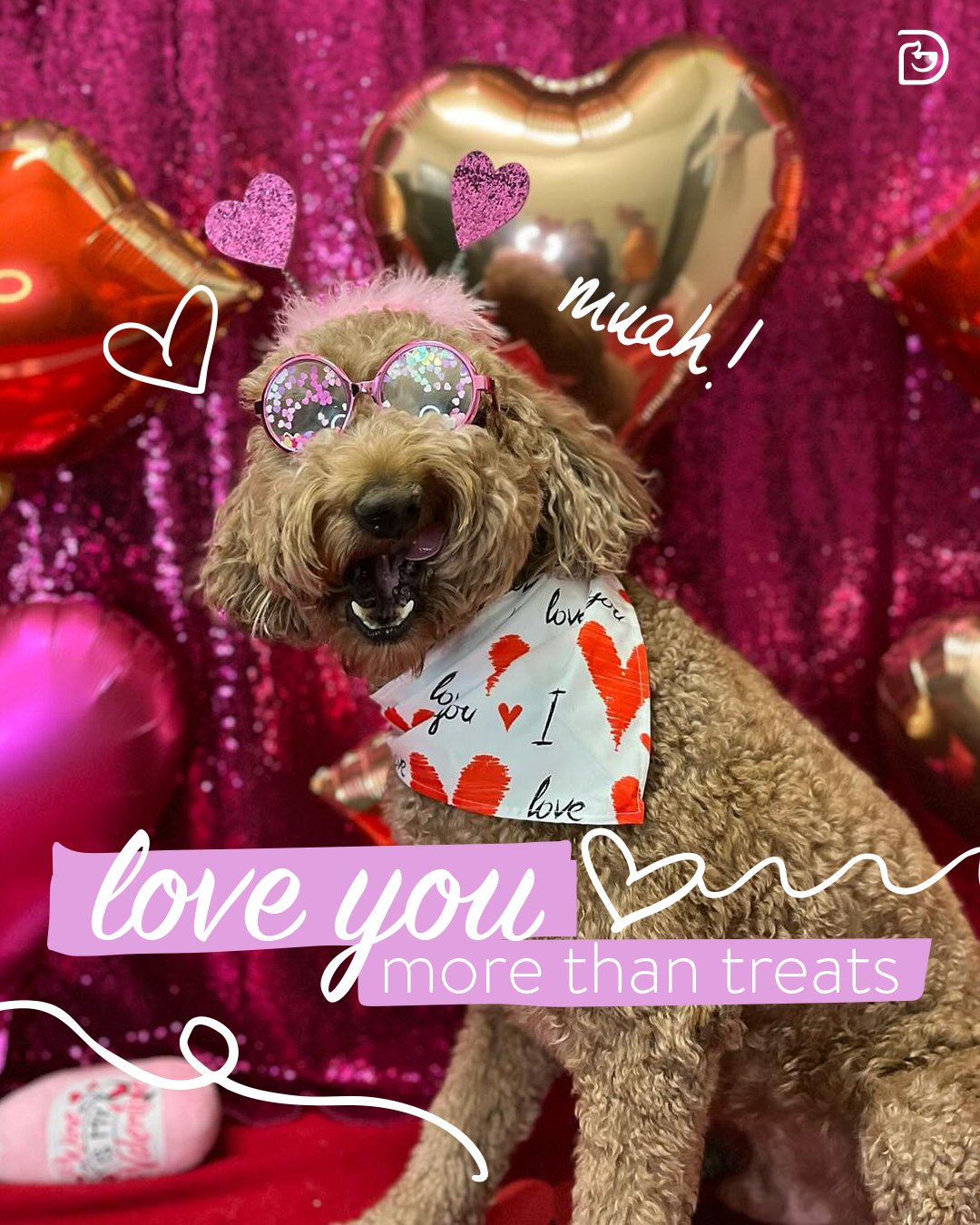 Make Dogtopia of Cypress Your Dog's Spring Break Destination! - Cypress