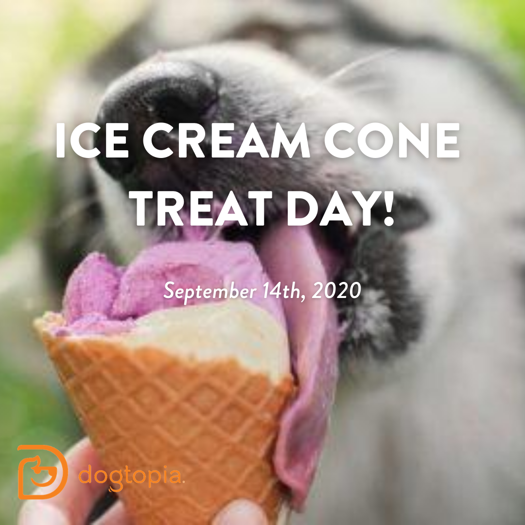 Ice Cream Cone Treat Day! - Roswell