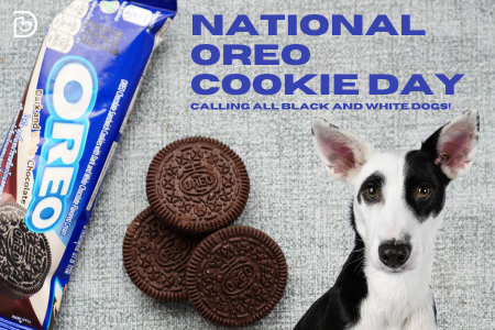 National Oreo Cookie Day - Wolverine Worldwide