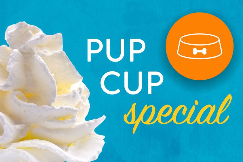 FREE Pup Cups! - Town Center - Virginia Beach