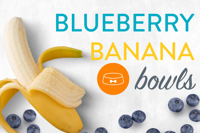 Wellness Wednesday – Blueberry Banana Bowl - Town Center - Virginia Beach