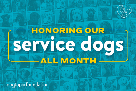 National Service Dog Month - Town Center - Virginia Beach