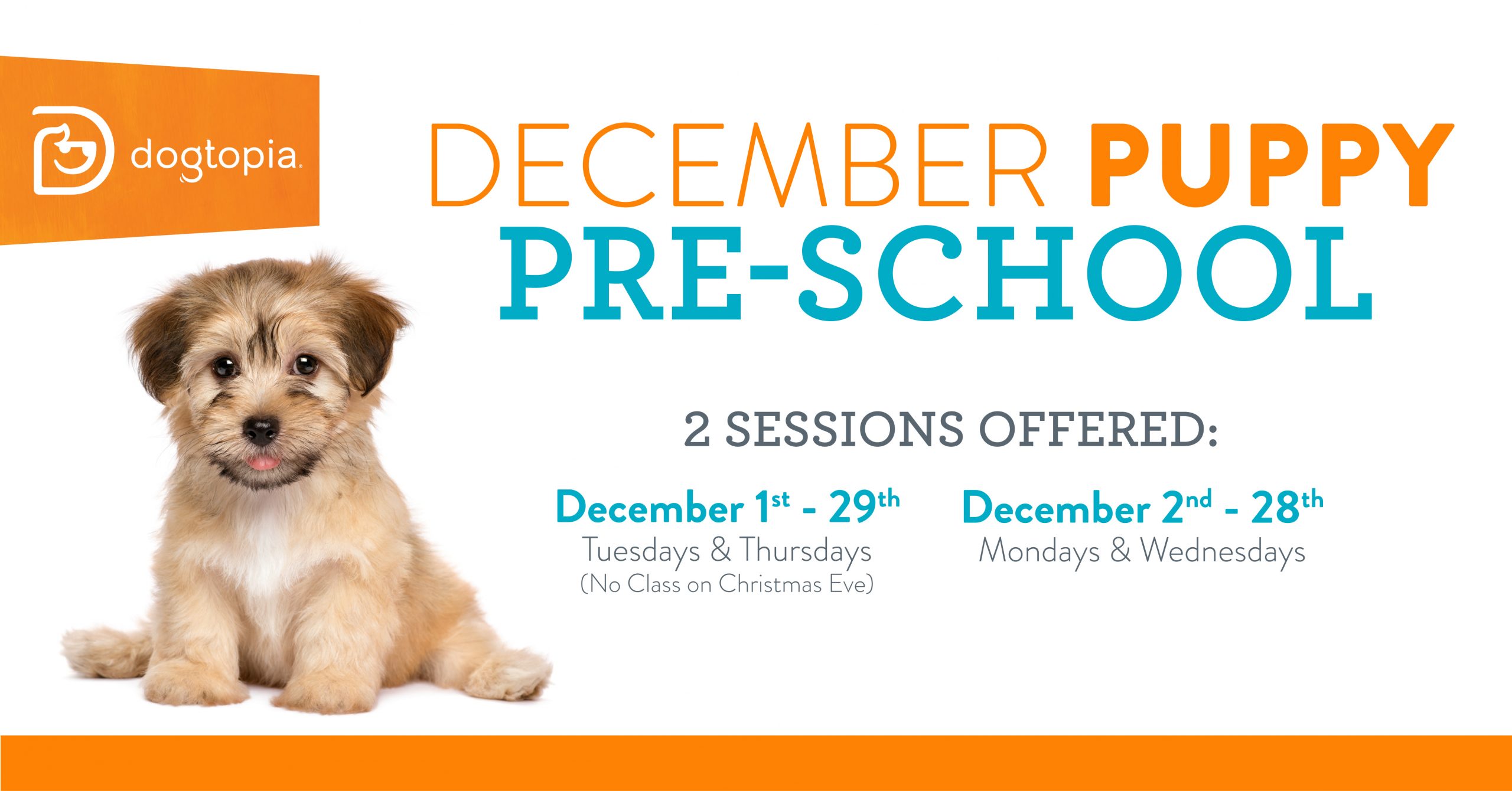 December Puppy Preschool - Warwick