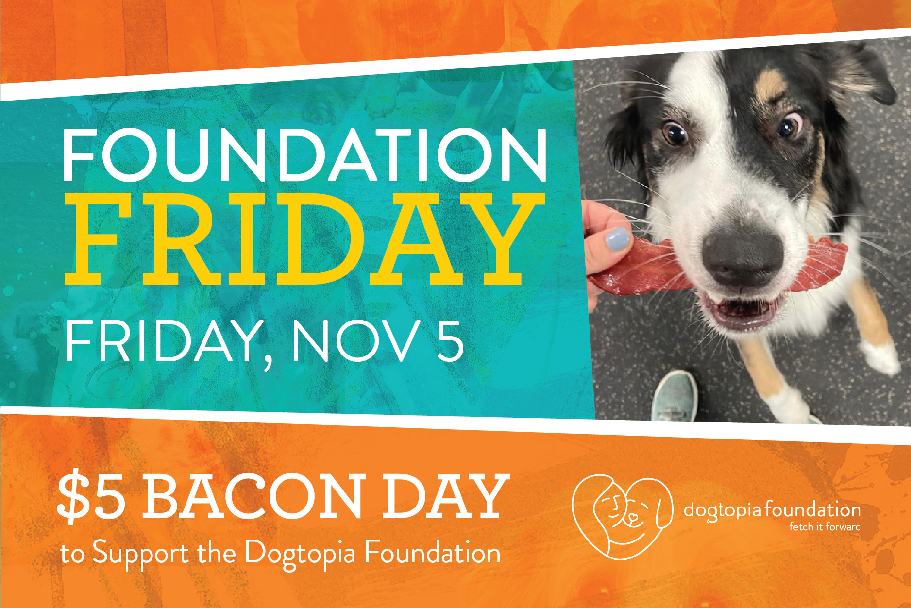 Foundation Friday Bacon Day! - Warwick