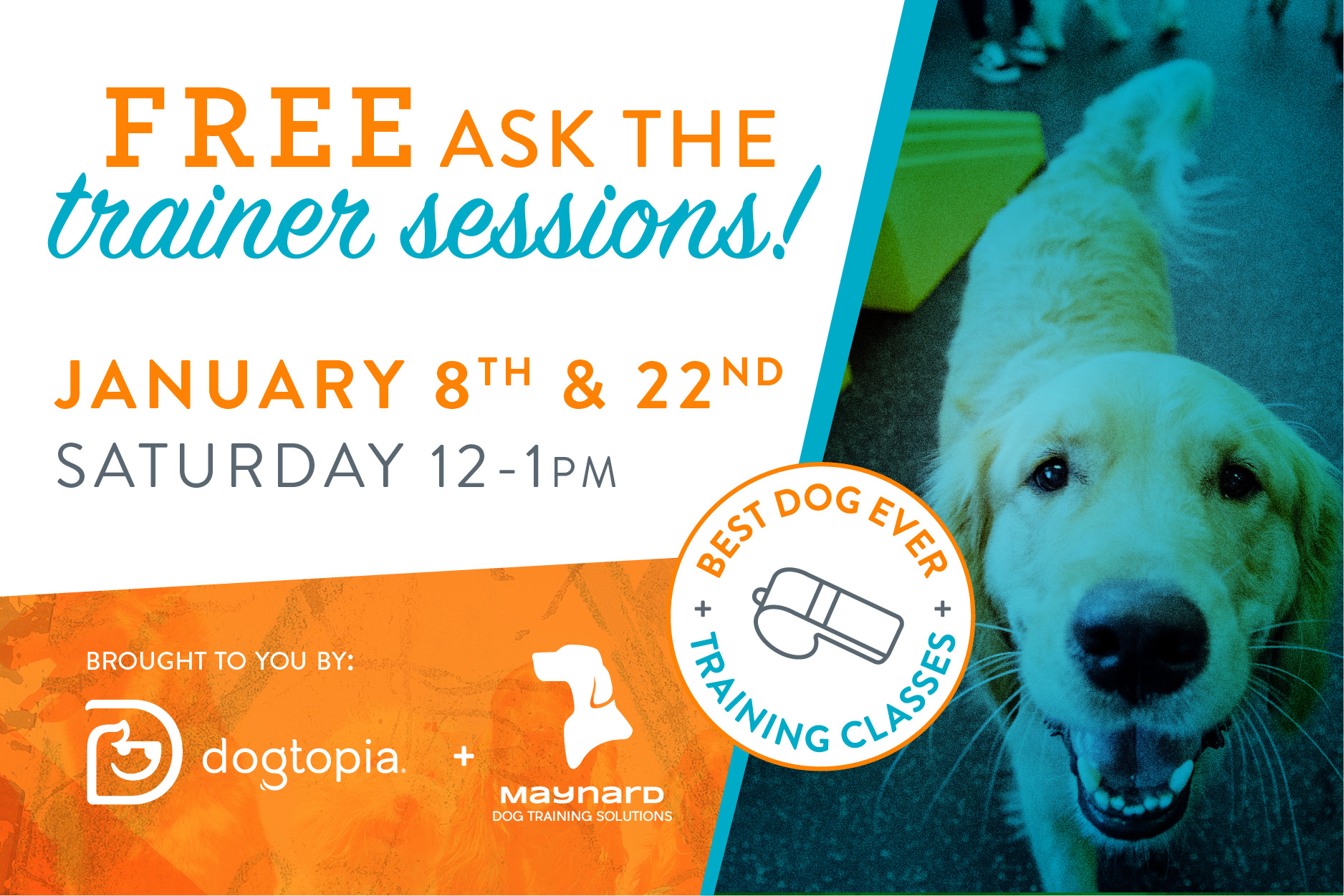 FREE - Ask the Trainer Sessions! - Warwick
