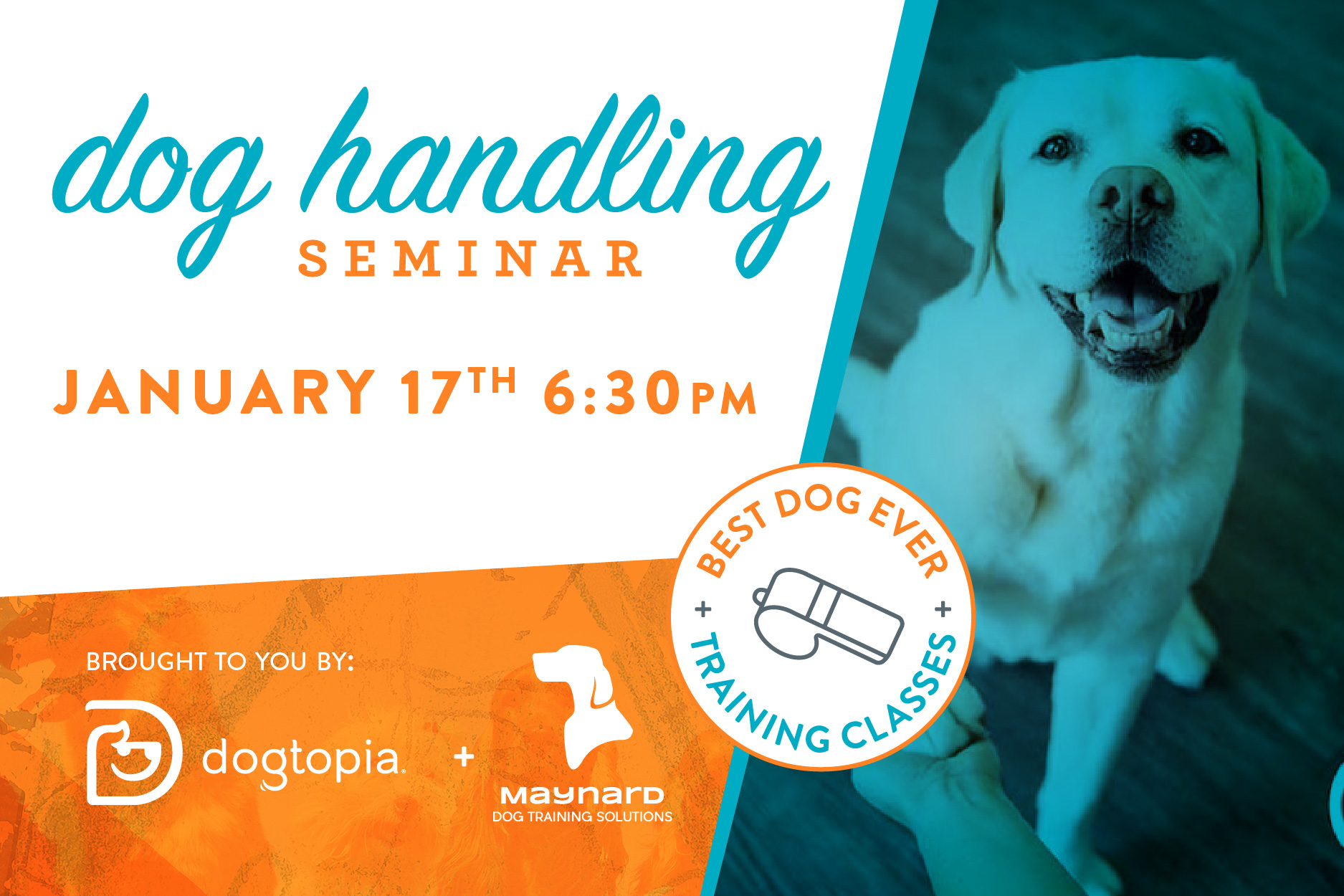 Dog Handling Seminar - Warwick