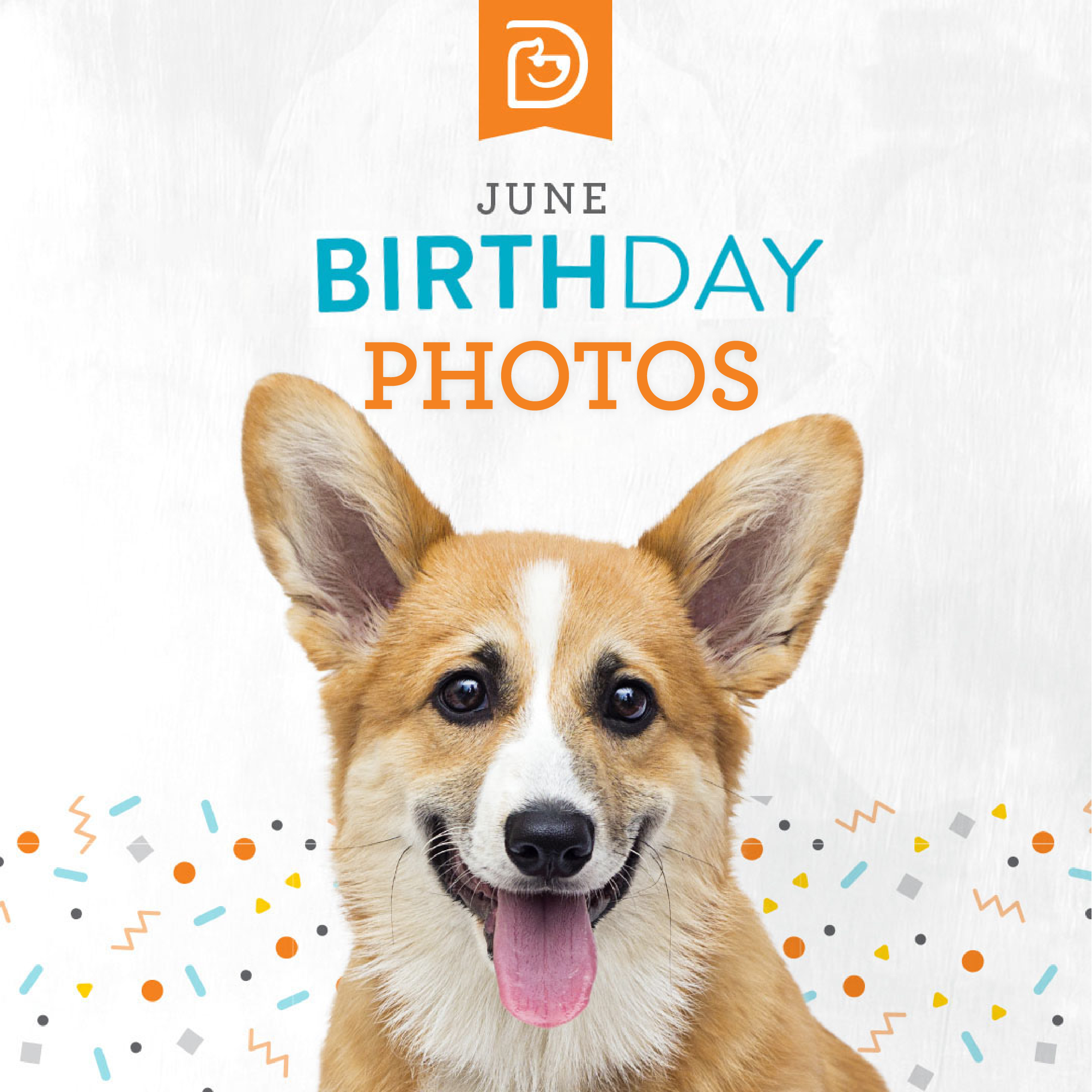 June Birthday Photos! - Warwick