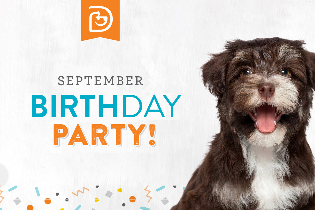 September Birthday Party! - Warwick