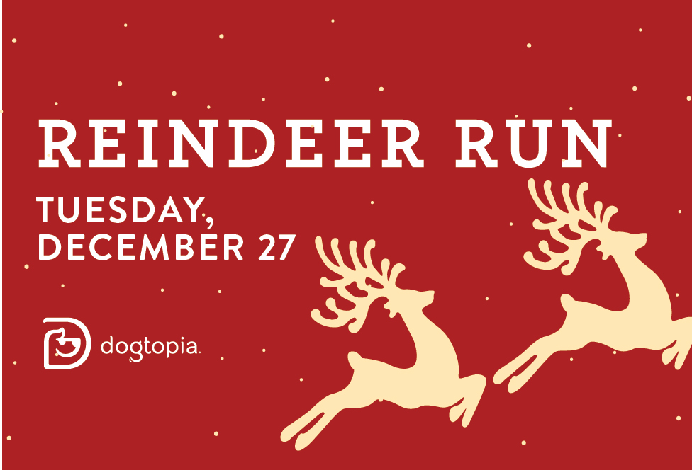 Reindeer Run - Warwick