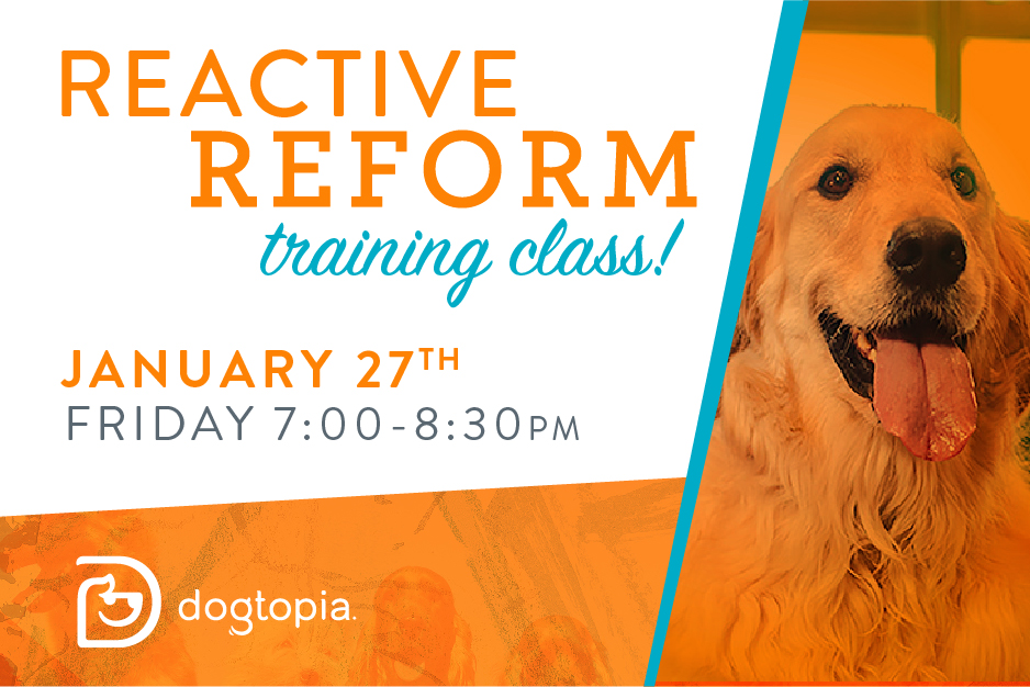 Reactive Reform Training Class - Warwick