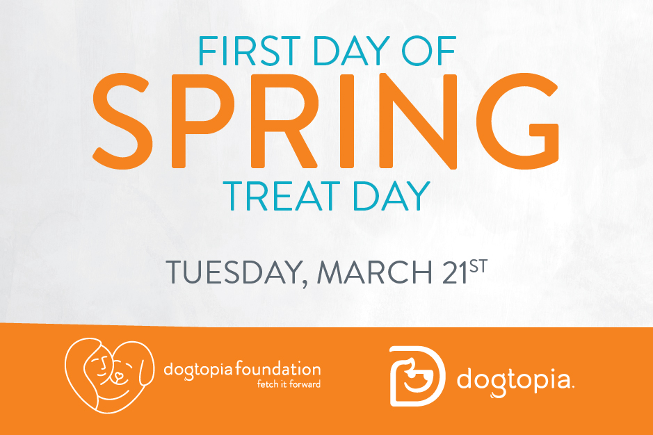 First Day of Spring Treat - Warwick