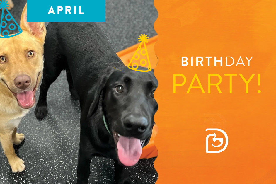 April Birthday Party! - Warwick