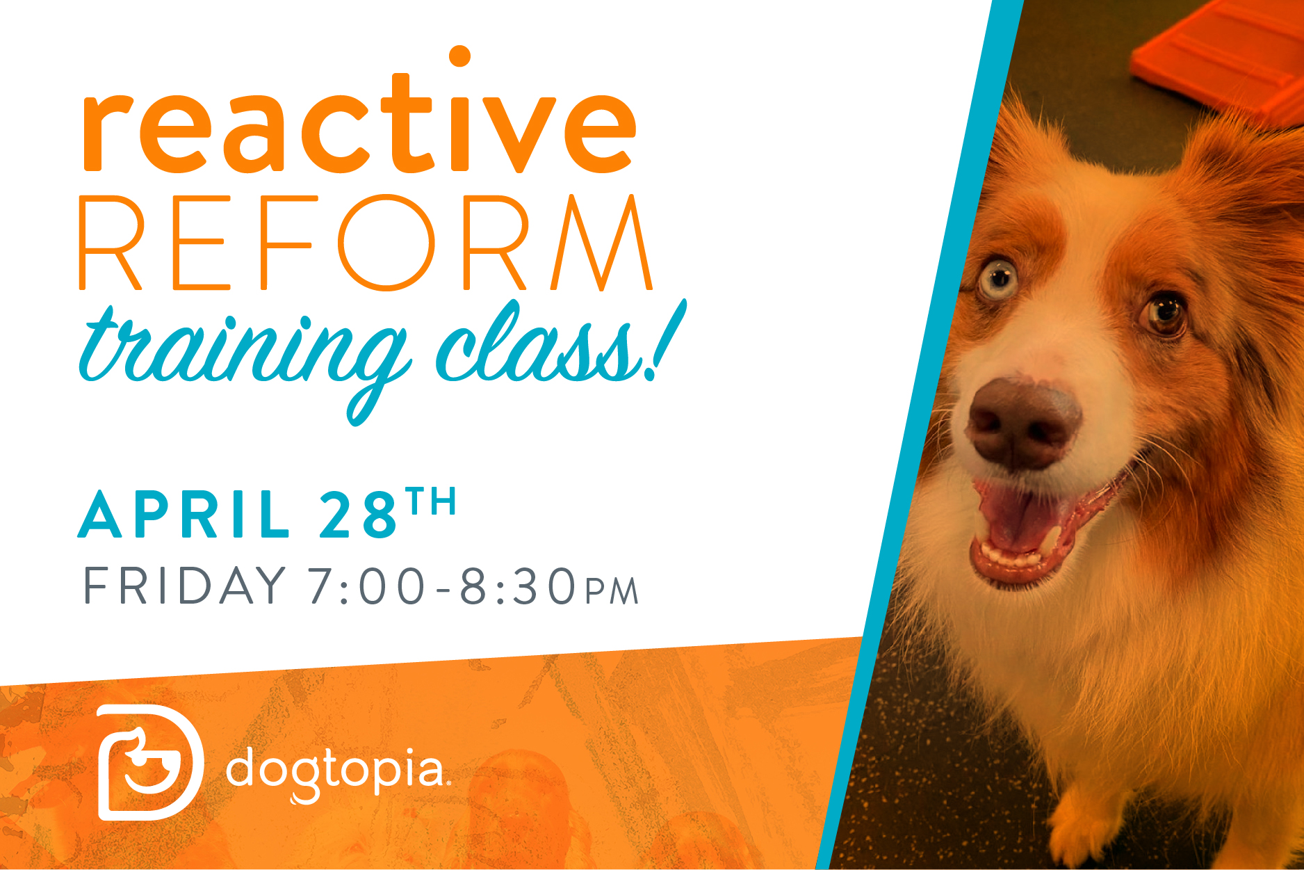 Reactive Reform Training Class - Warwick