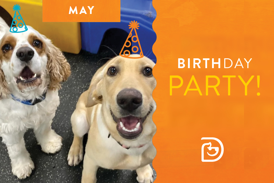 May Birthday Party! - Warwick