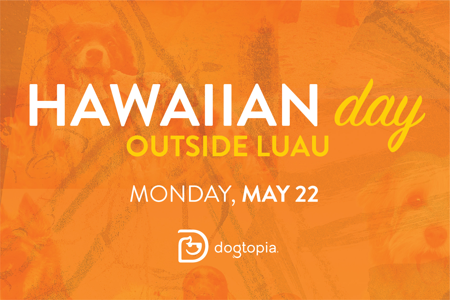 Hawaiian Day Outside Luau - Warwick