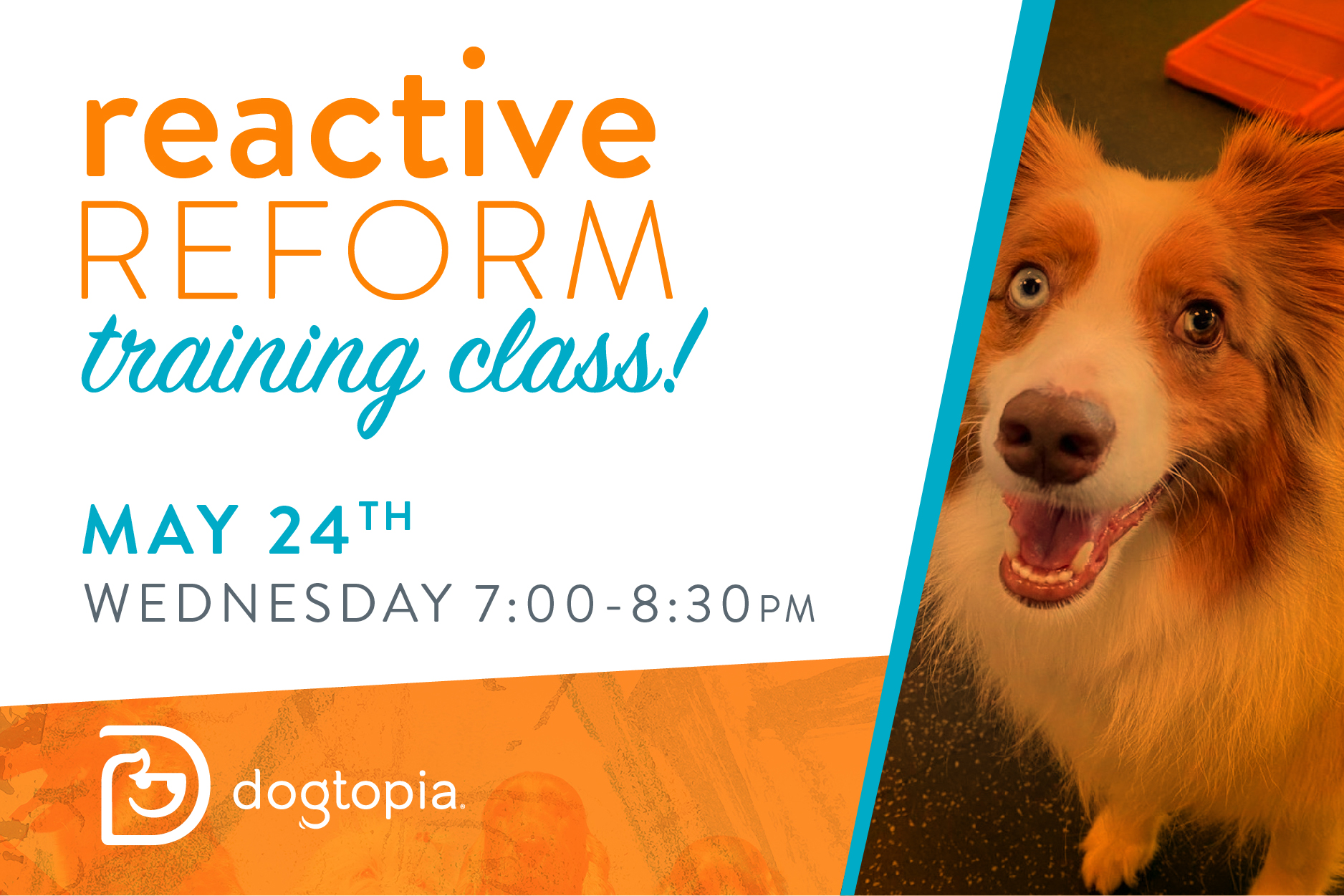 Reactive Reform Training Class - Warwick