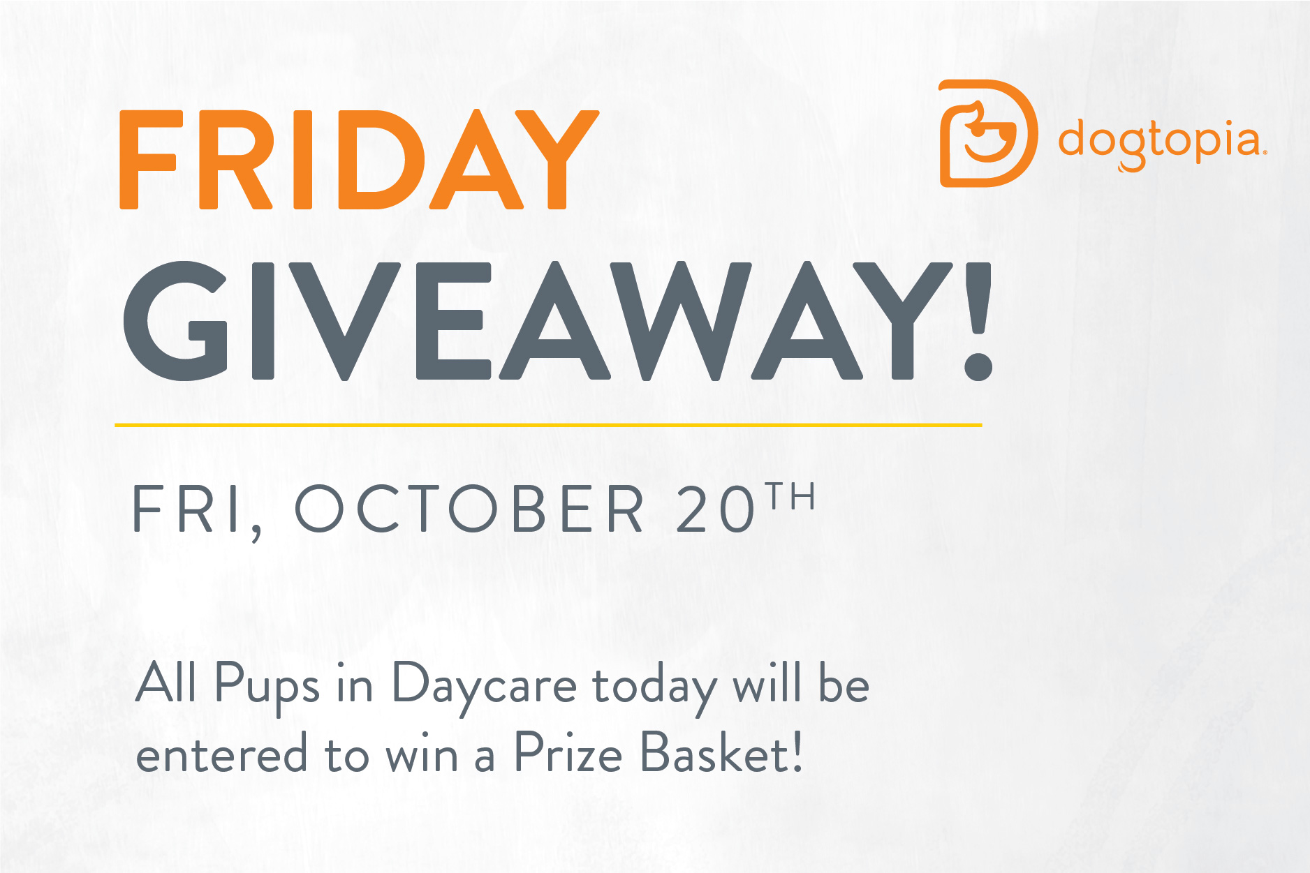 Friday Giveaway! - Warwick