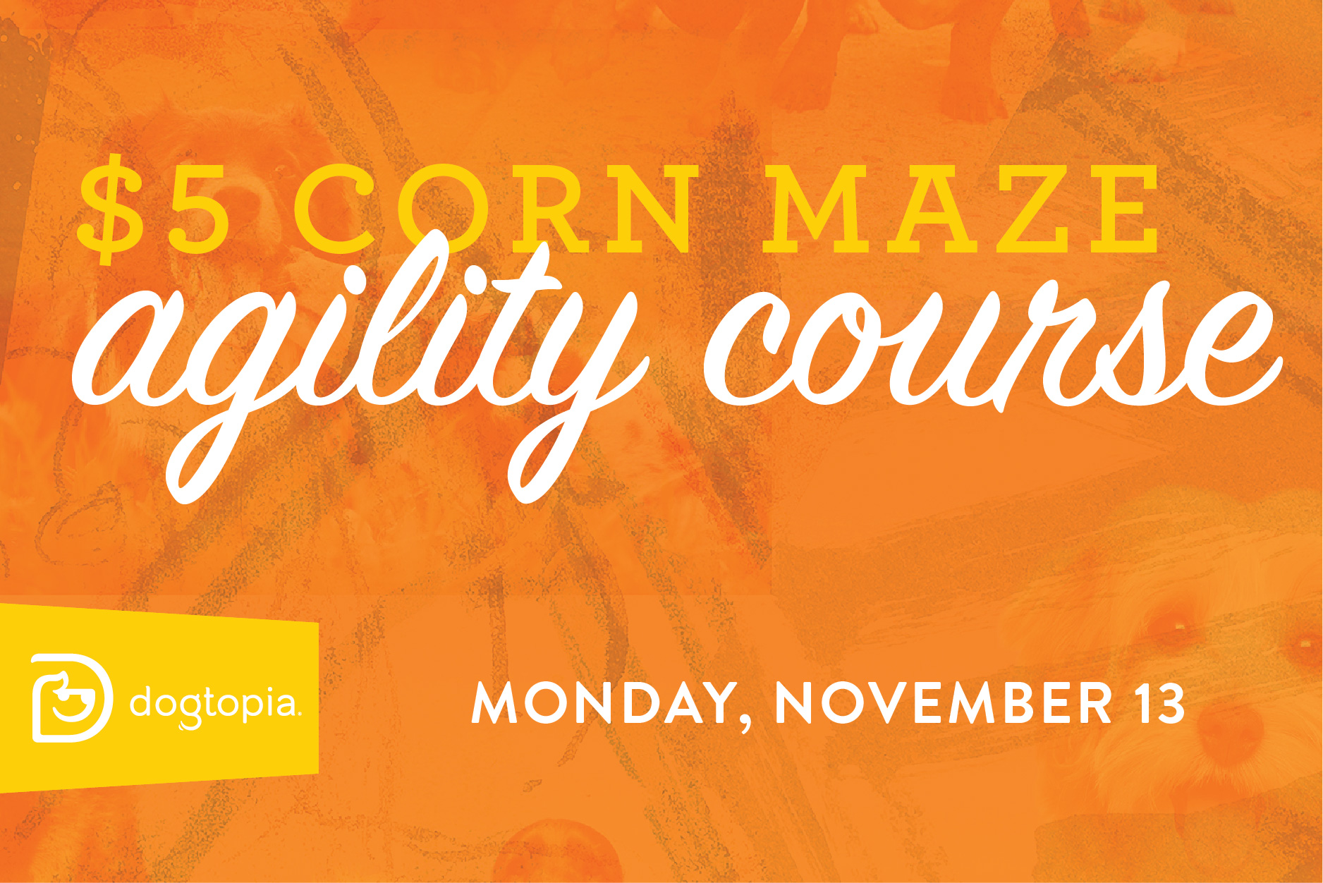 $5 Corn Maze Agility Course Days! - Warwick