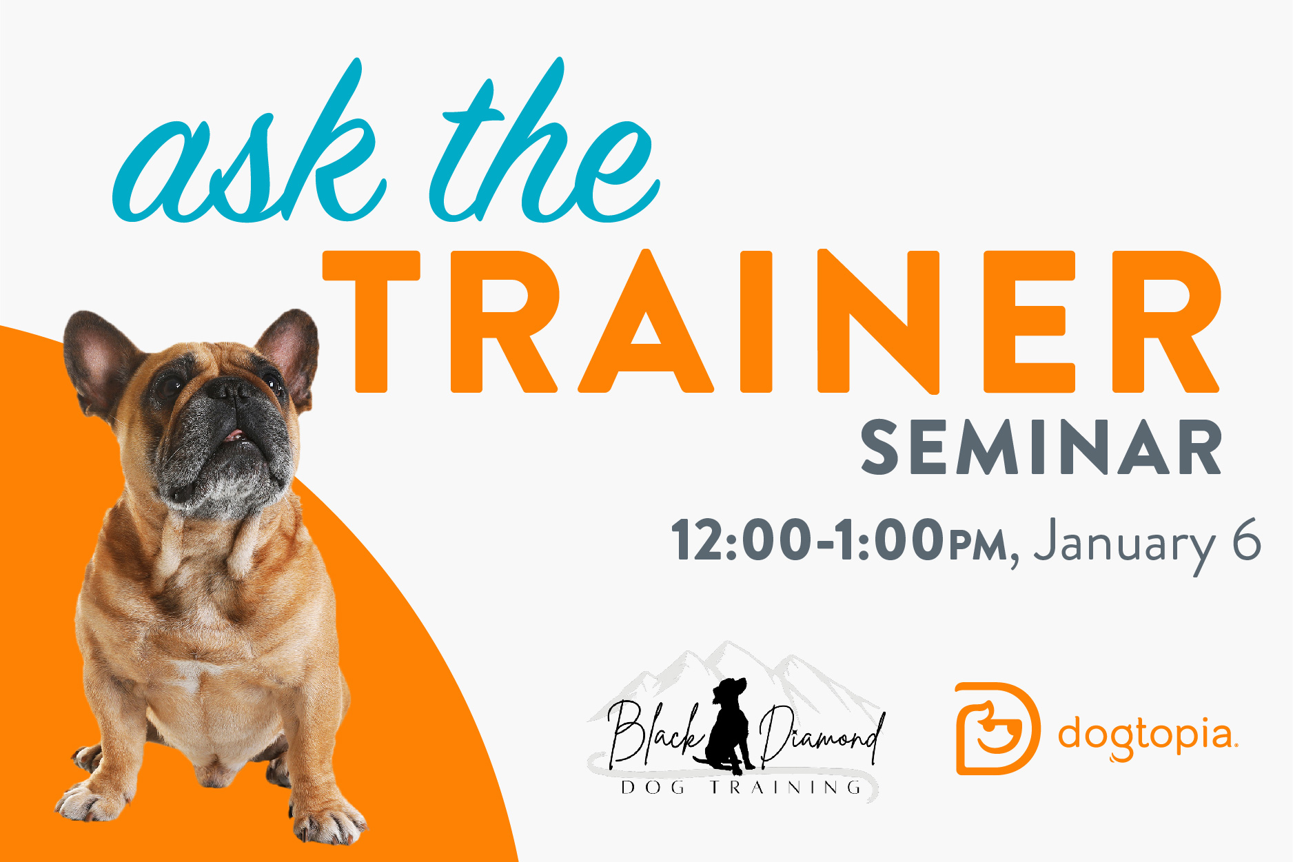 Ask The Trainer Seminar - Warwick