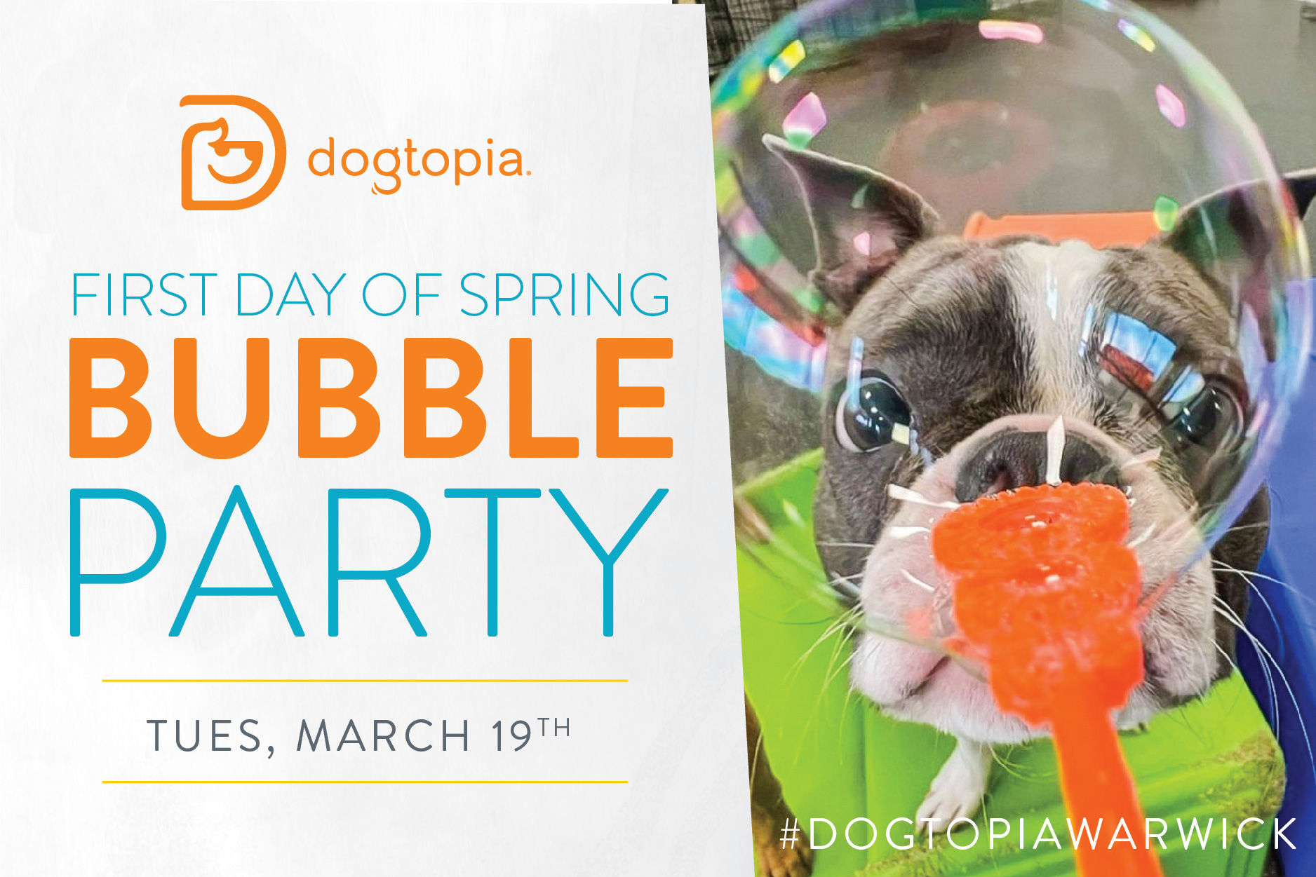 First Day of Spring Bubble Party! - Warwick