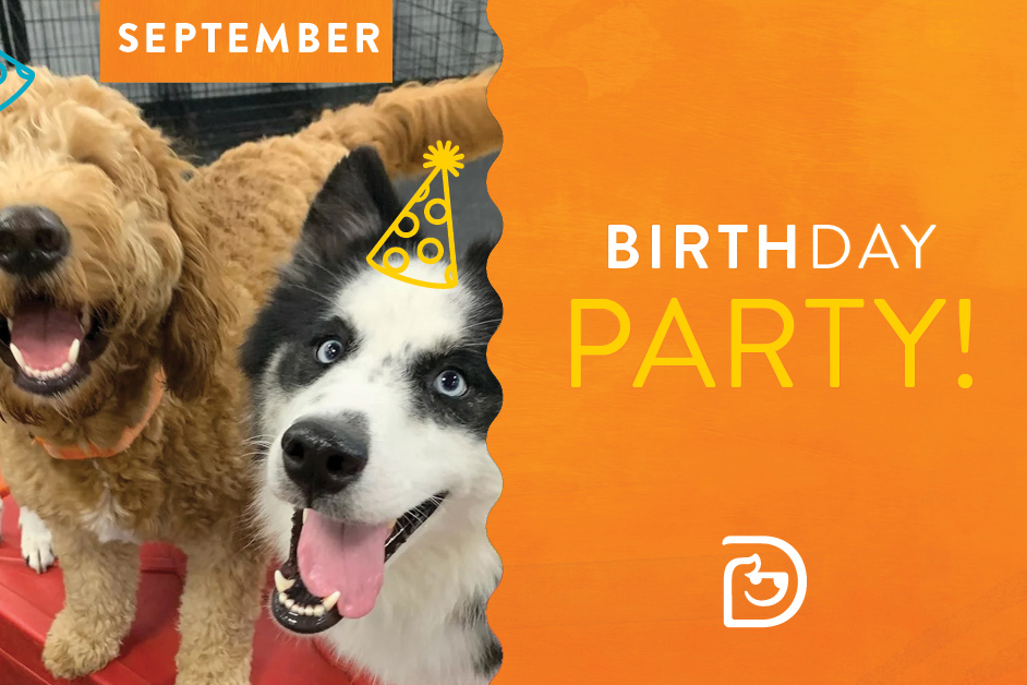 September Birthday Party! - Warwick