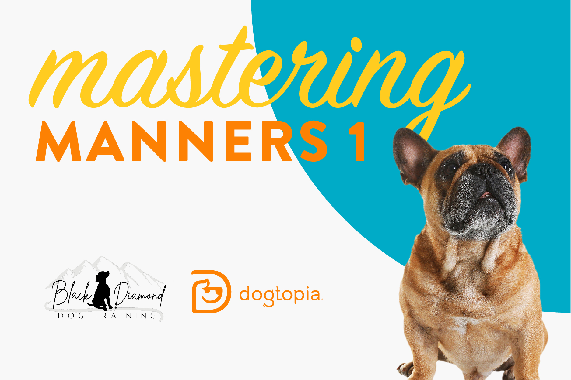 Mastering Manners 1 - Warwick