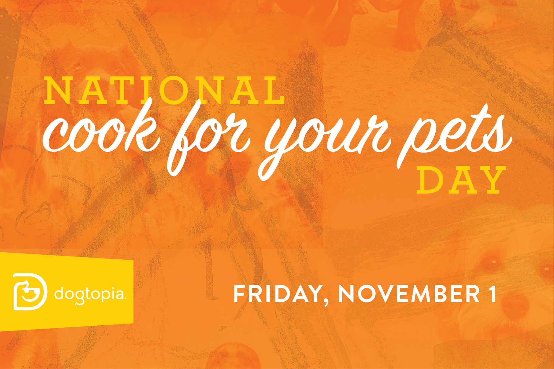 National Cook For Your Pet Day! - Warwick