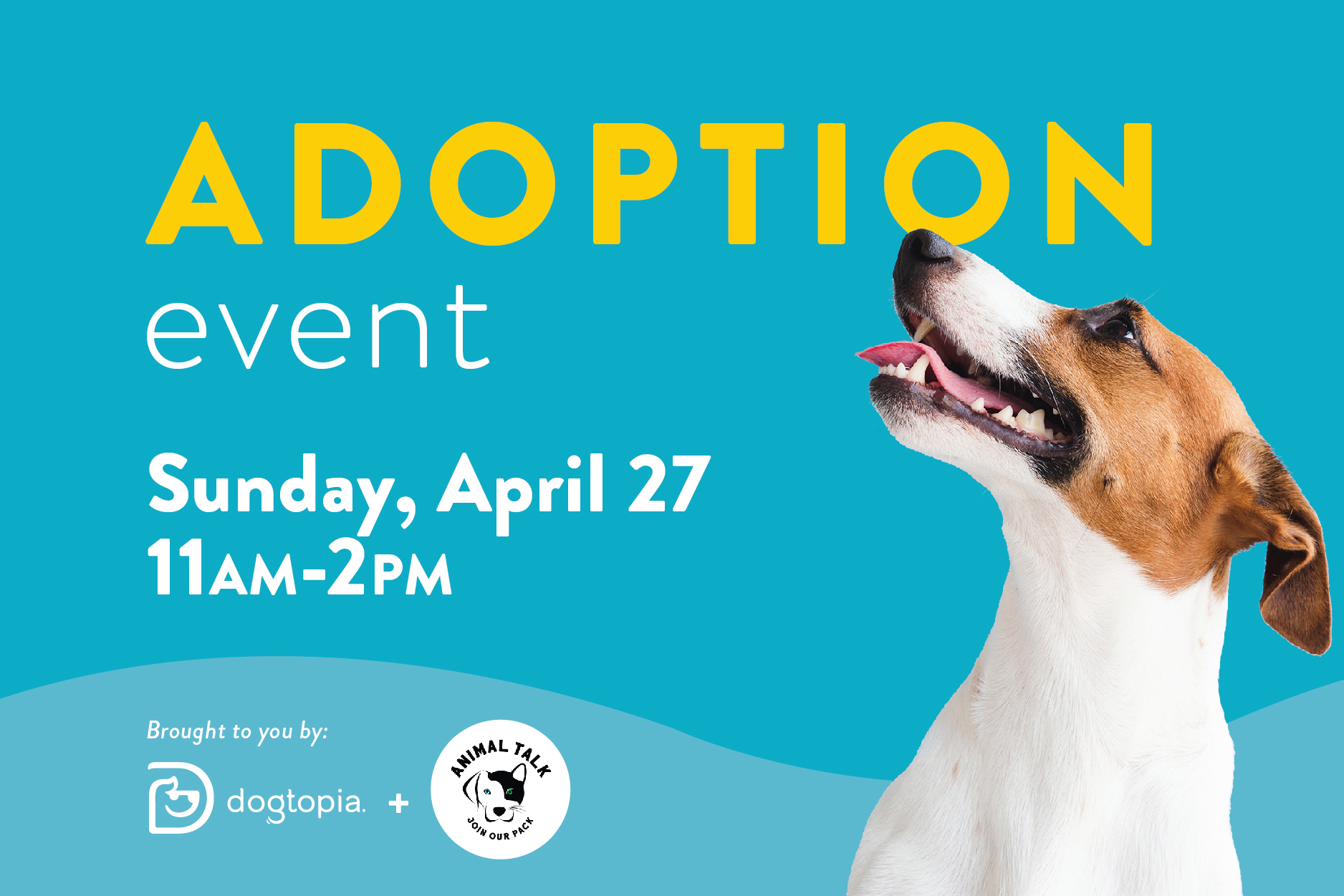 Adoption Event - Warwick