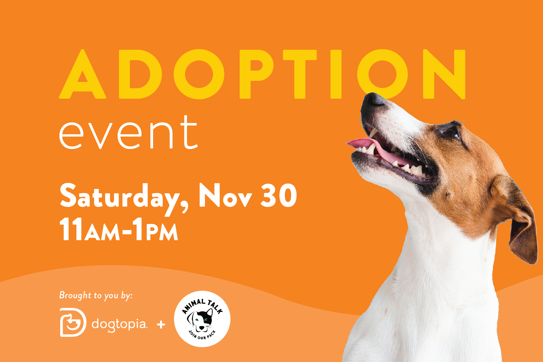 Adoption Event - Warwick