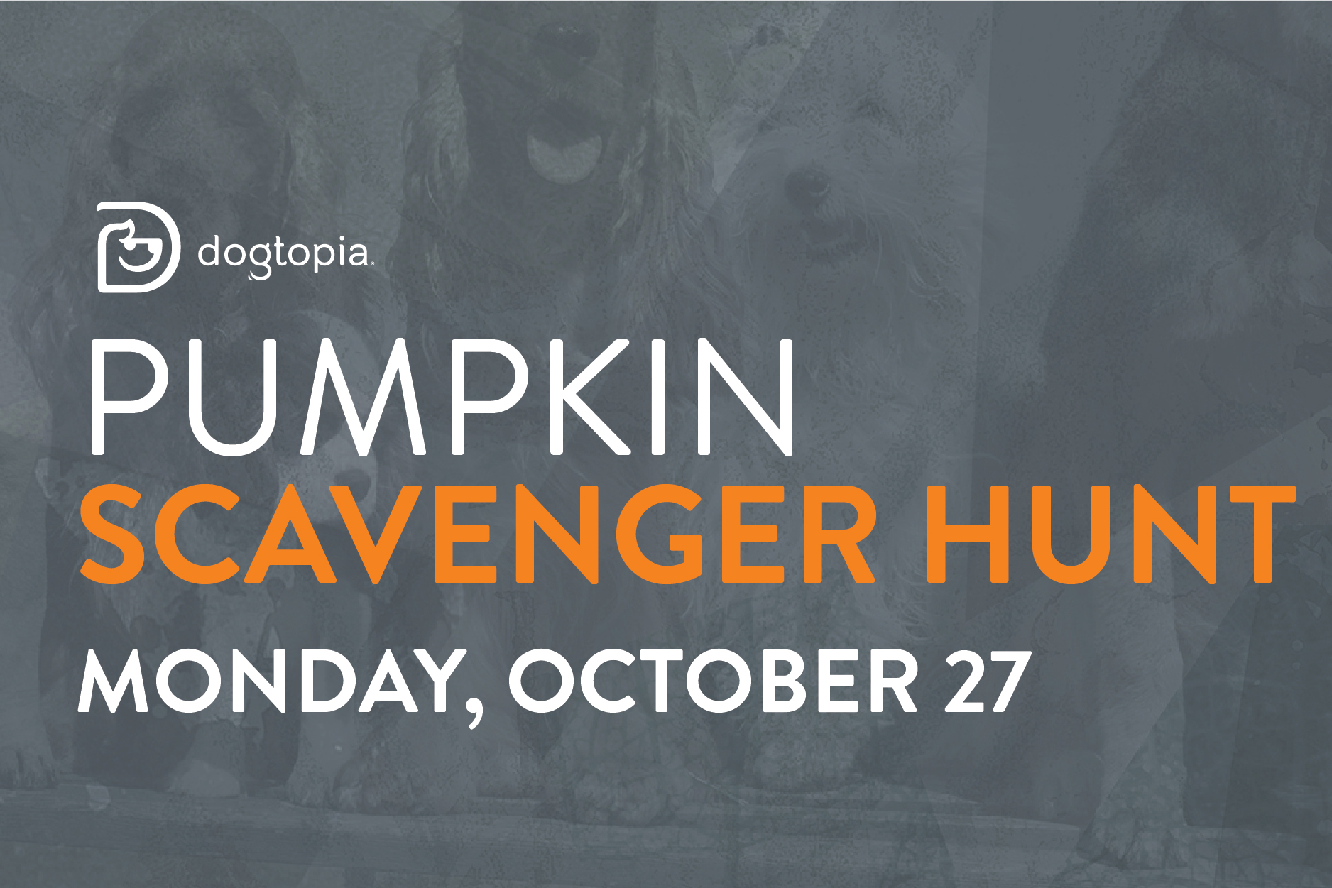 Pumpkin Scavenger Hunt! - Warwick