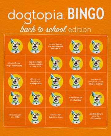 Back To School Bingo - Mount Kisco