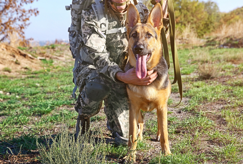 Pets For Veterans - Barrie