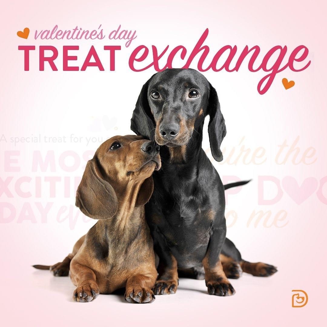 Valentine's Day Treat Exchange - Harrison Ave