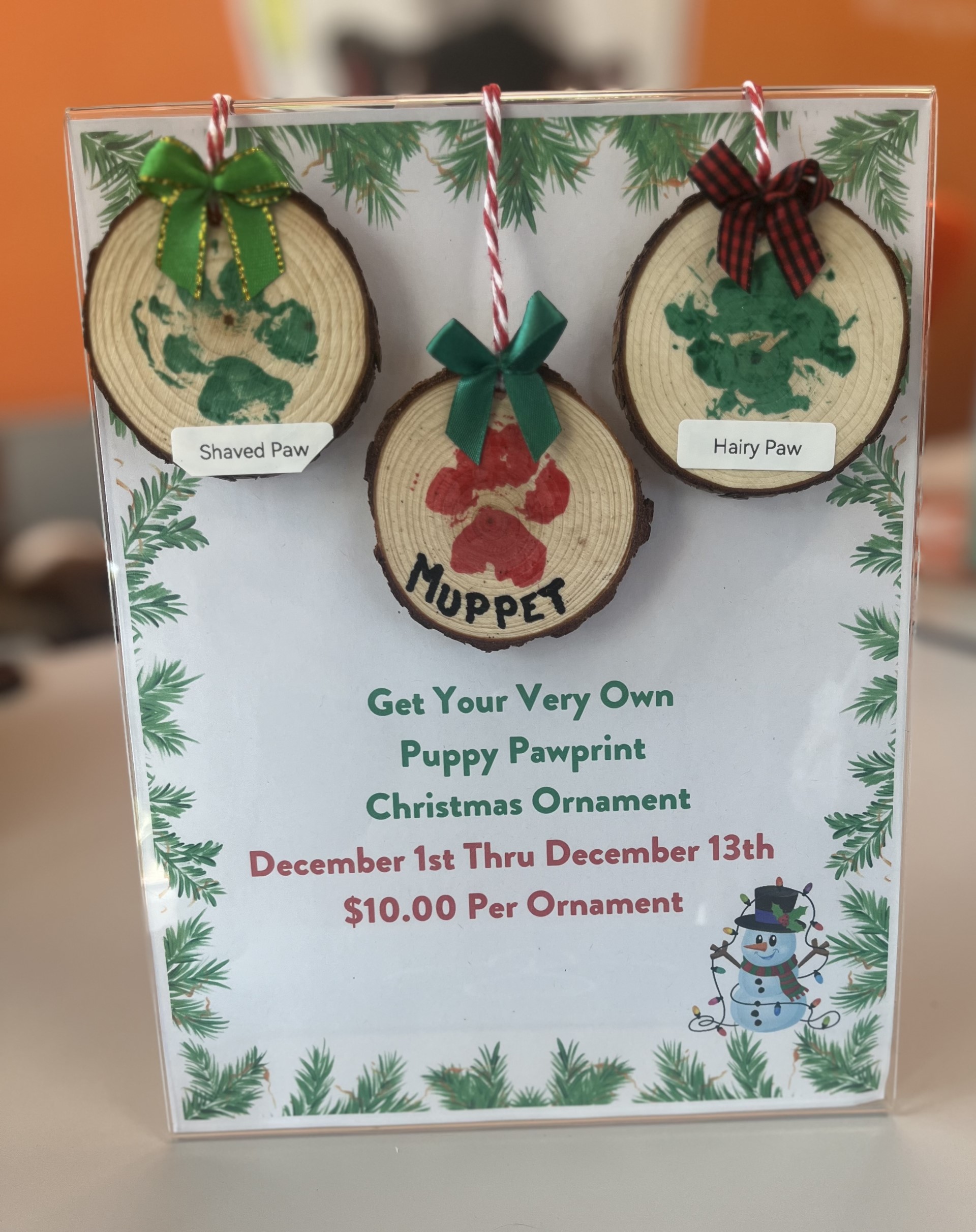 Take-Home Ornament Art Project - $10 - Paradise Valley Village
